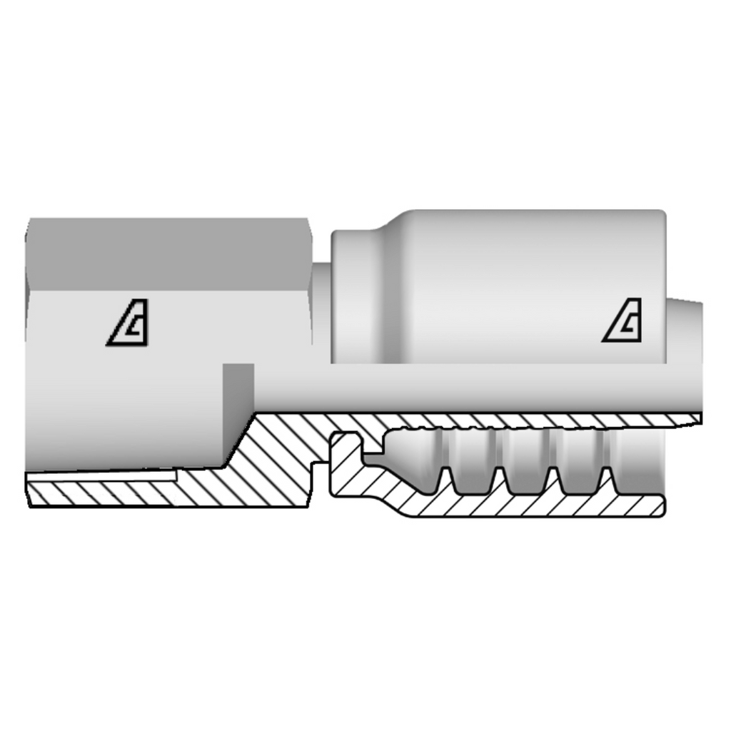 B-0404-FGRT : Alfagomma Straight Steel Fitting, 1/4 (-04) Hose x 1/2-2