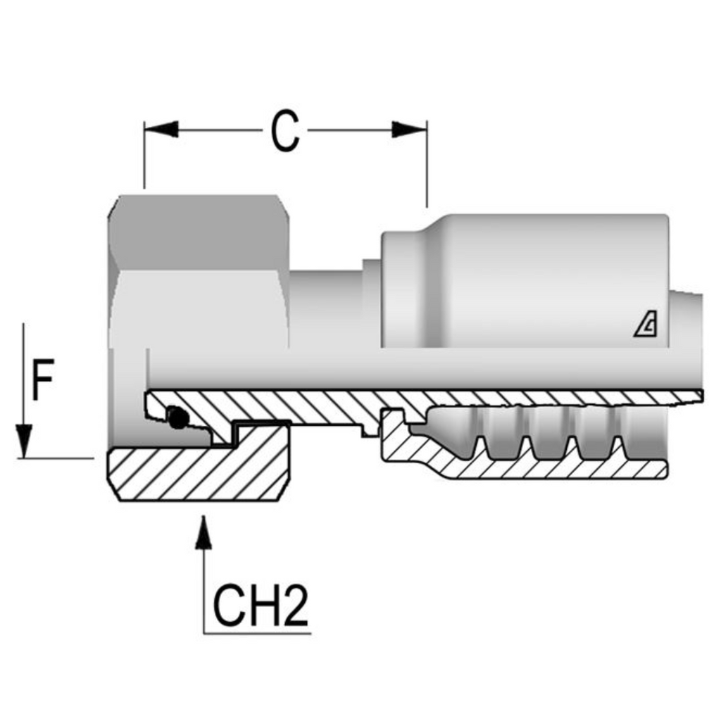 B-1236-FMOH : Alfagomma Straight Steel Fitting, 3/4 (-12) Hose x M36x2