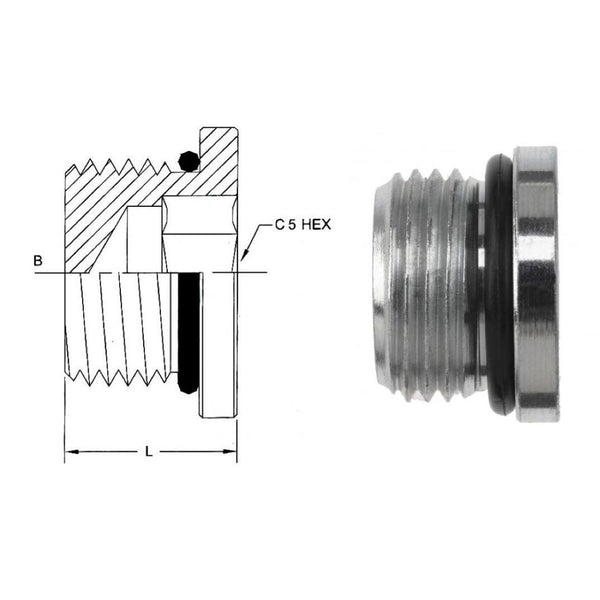 ORB Plugs - Smooth Hollow Hex Head Plug – OneHydraulics